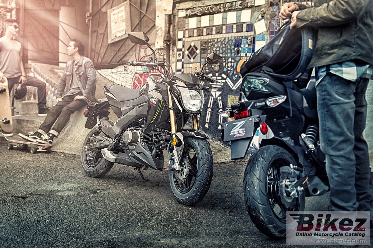 Kawasaki Z125 Pro poster